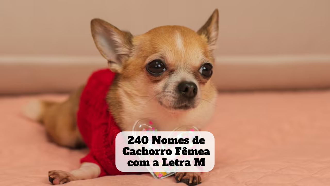 240 Nomes de Cachorro Fêmea com a Letra M - Dicas Para Viver Bem