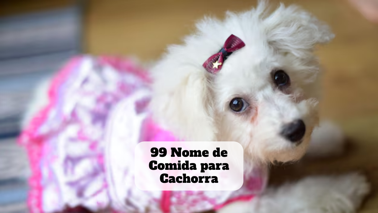 99 Nome de Comida para Cachorra - Dicas Para Viver Bem